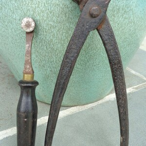 Vintage Cobbler Tools, Antique Cobblers Pliers Cutters and Cobbler ...