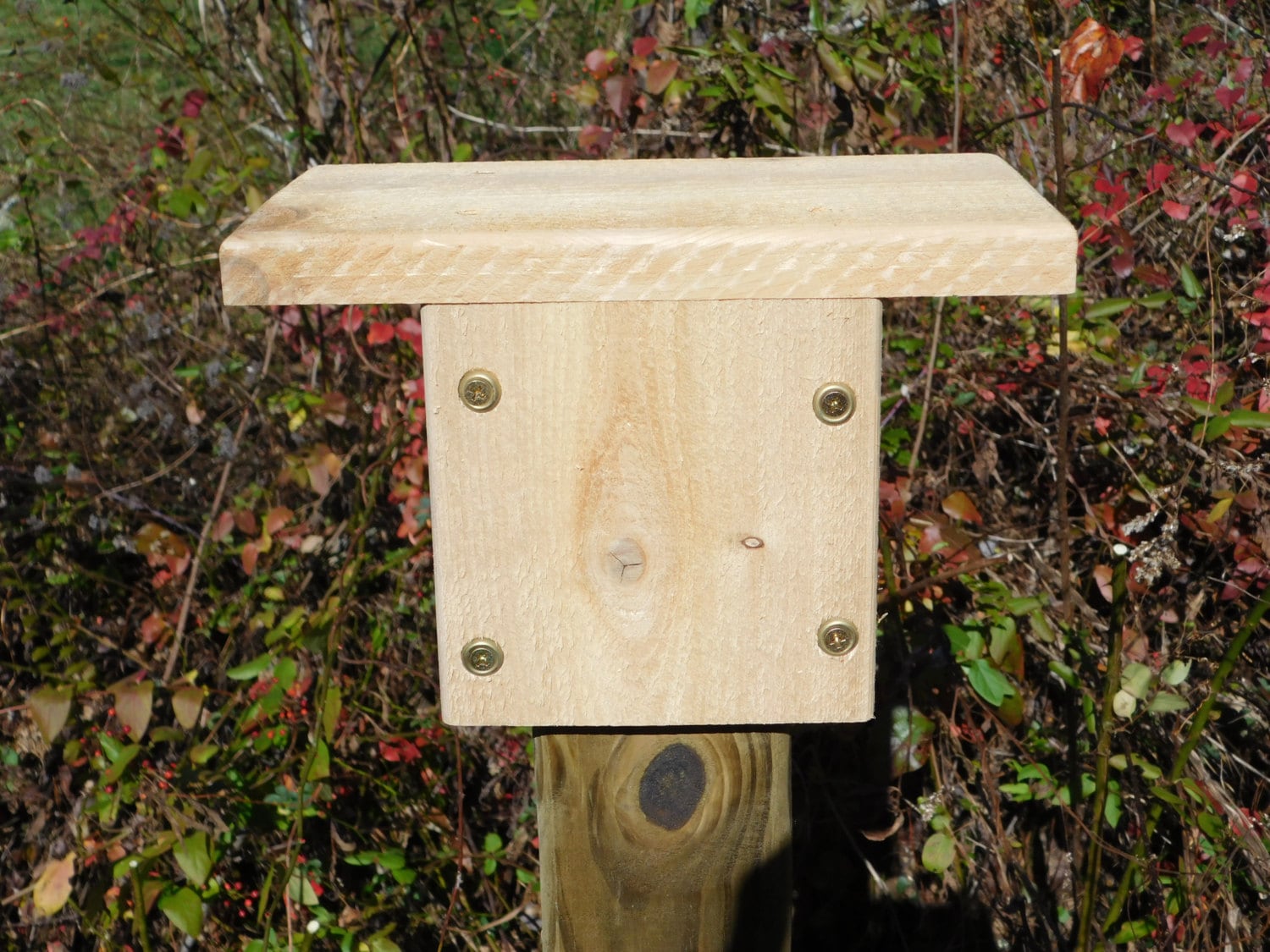Cedar 4" X 4" Post Mount - Etsy
