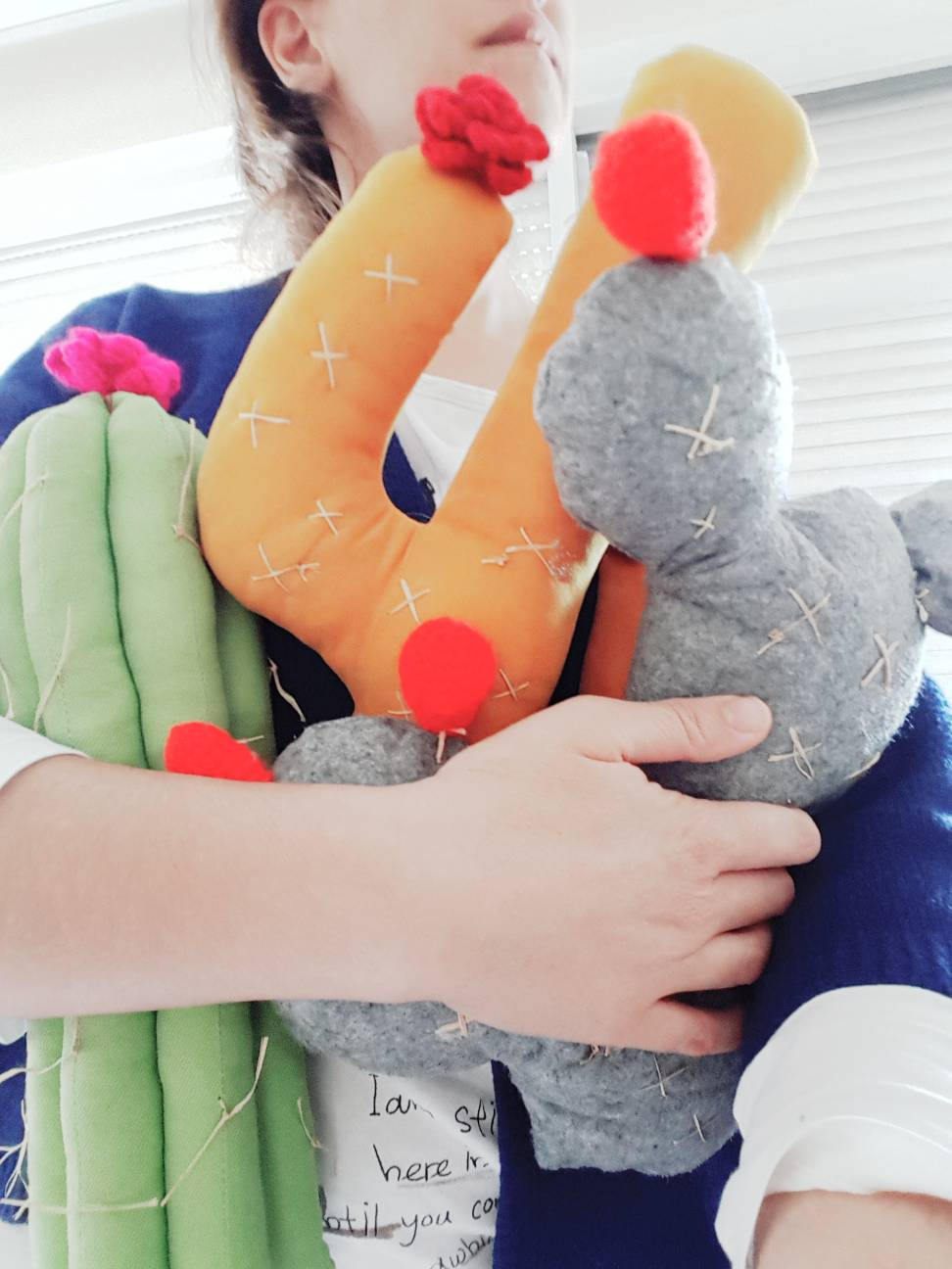 Cactus Plush Decorative Plants, Stuffed Cactus Pillow, Adventure Style ...