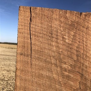 Live Edge Raw Board, Natural Unfinished Sawn Wood Lumber, Rustic ...