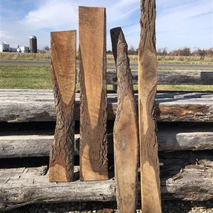 4 Live Edge Raw Boards, Natural Unfinished Wood Lumber, Rustic Hardwood ...
