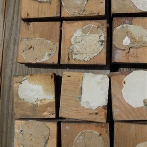 24 Mini Plinth Blocks, Bullseye Rosette, Architectural Salvage, Wood ...