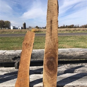 4 Live Edge Raw Boards, Natural Unfinished Wood Lumber, Rustic Hardwood ...