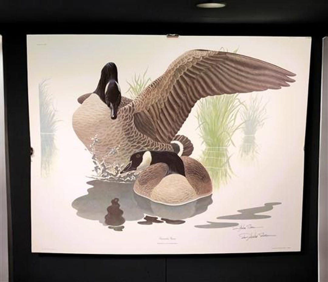 Richard Sloan, Canada Goose, Signed Print, 28x22, Wade Collection ...