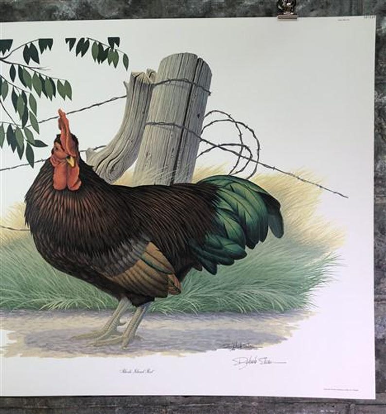 Richard Sloan, Rhode Island Red, Signed Print, 28x22, Wade Collection ...