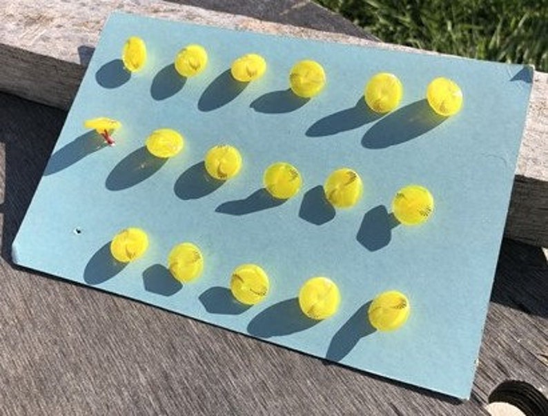 17 Lemon Yellow Lucite Moon Glow Buttons, Vintage Acrylic Buttons, Gold ...