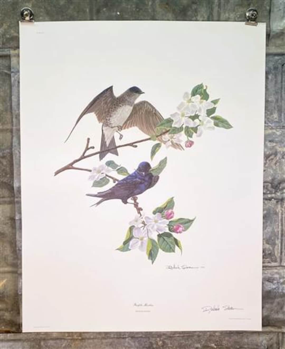 Richard Sloan, Purple Martin, Signed Prints, 28x22, Wade Collection ...