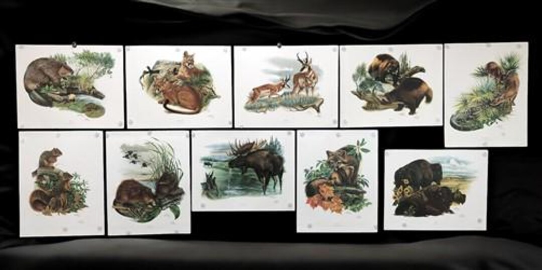 10 Richard Timm Signed Prints, 28x22 Wade Collection Lithograph Plates ...