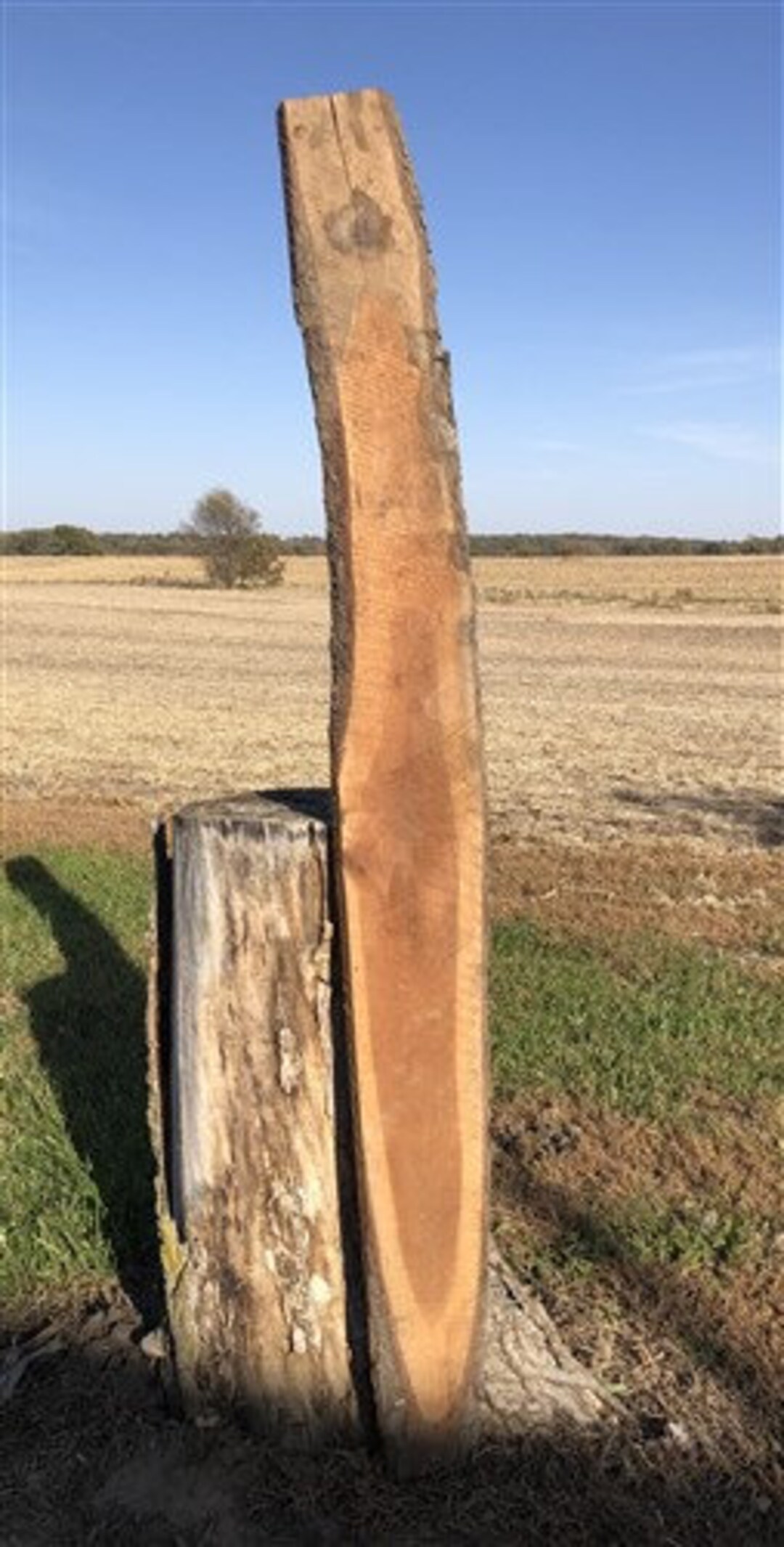 Live Edge Raw Board, Natural Unfinished Sawn Wood Lumber, Rustic ...