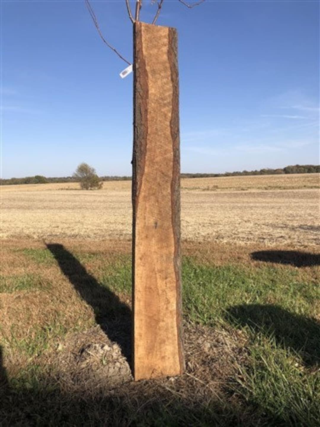 Live Edge Raw Board, Natural Unfinished Sawn Wood Lumber, Rustic ...