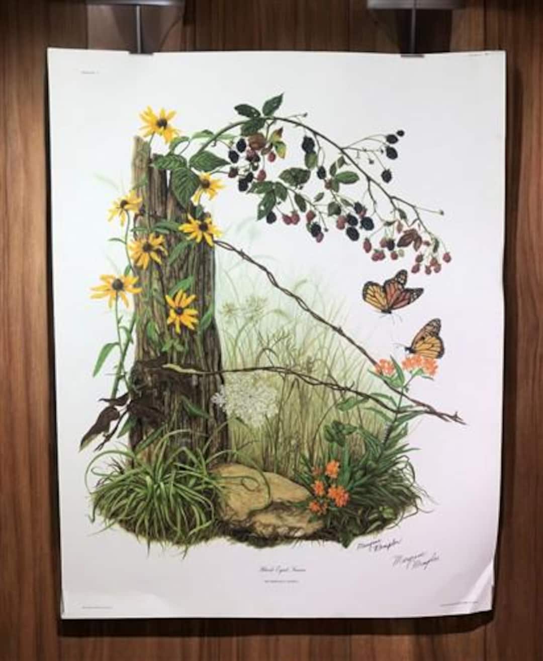 Maryrose Wampler, Black Eyed Susan, Signed Print, 28x22, Wall Art ...