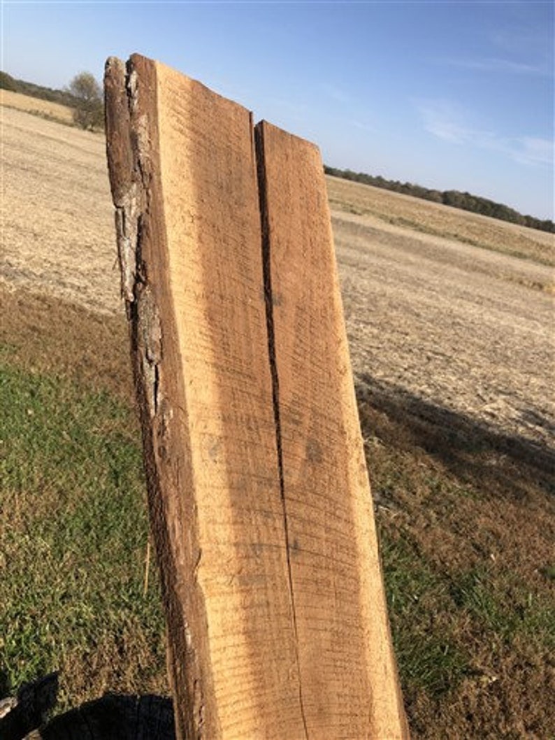 Live Edge Raw Board, Natural Unfinished Sawn Wood Lumber, Rustic ...