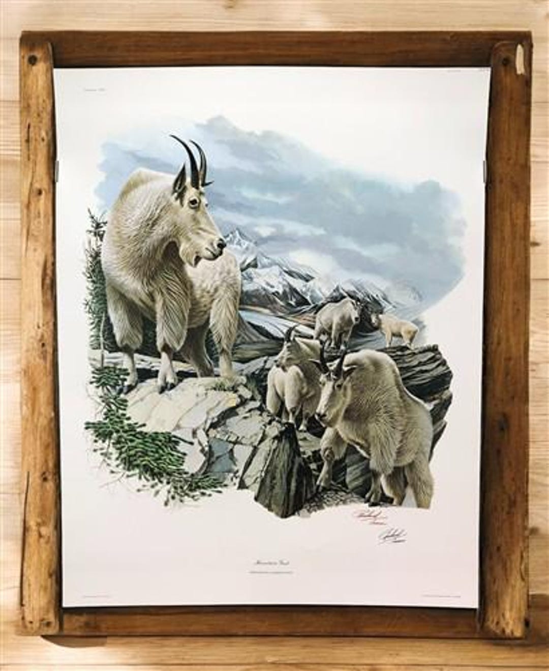 Richard Timm, Mountain Goat, Signed Print, 28x22 Wade Collection, Plate ...