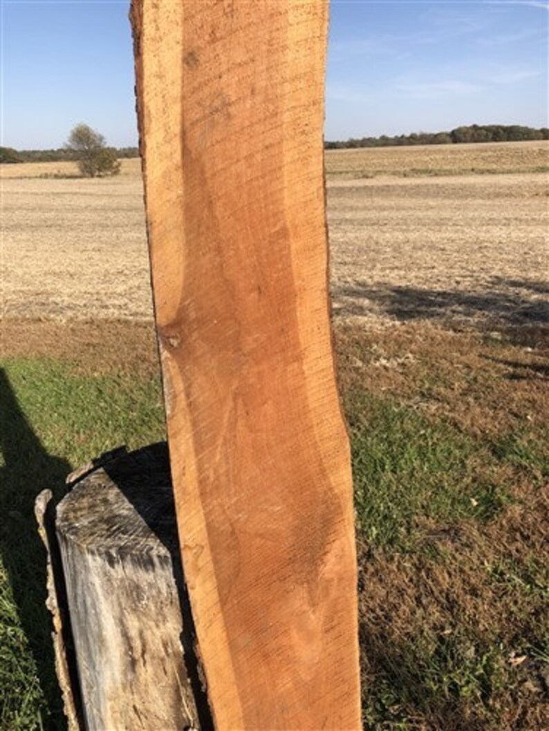 Live Edge Raw Board, Natural Unfinished Sawn Wood Lumber, Rustic ...