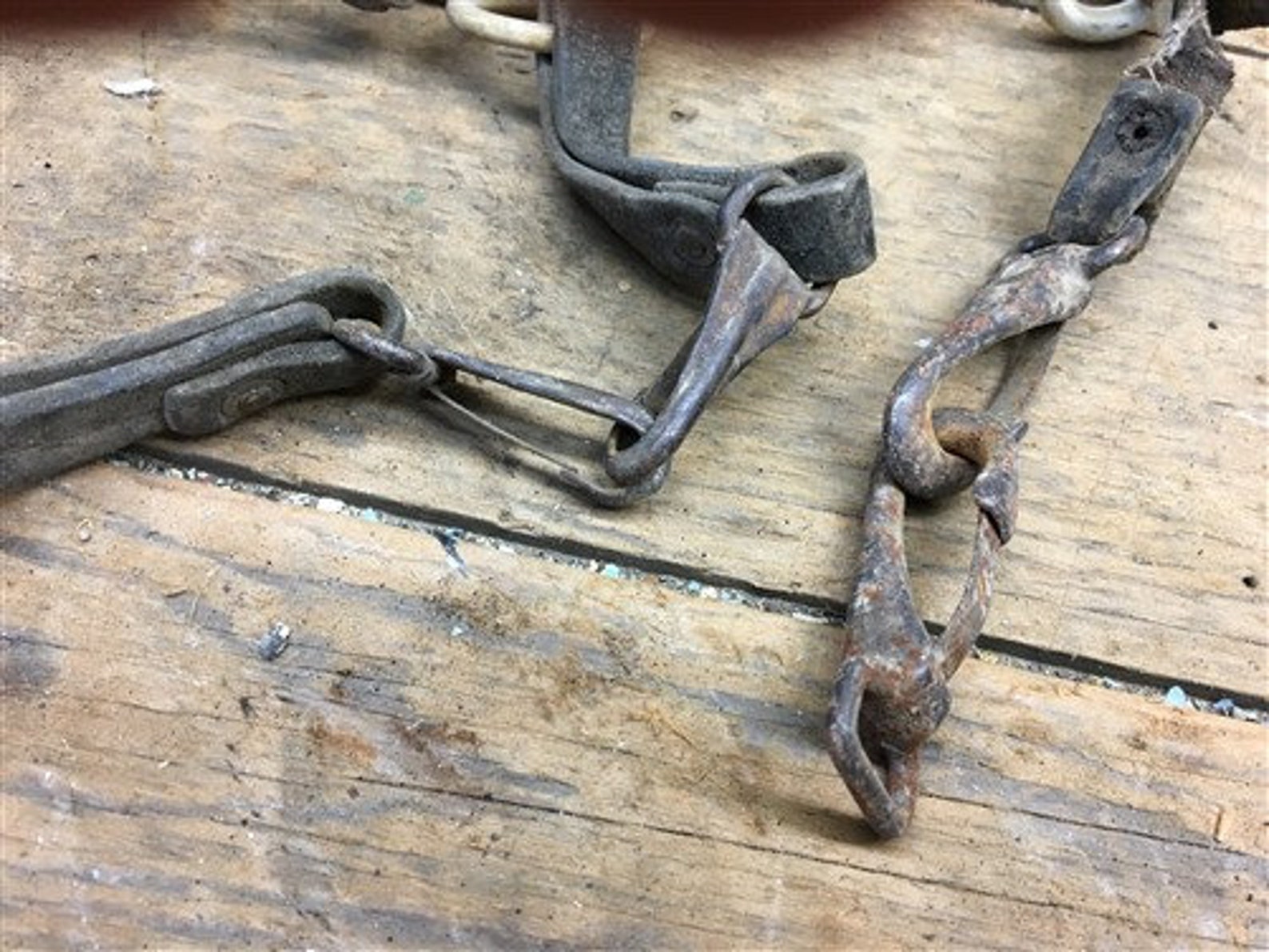 Vintage Horse Harness Line Spreader Celluloid Rings | Etsy