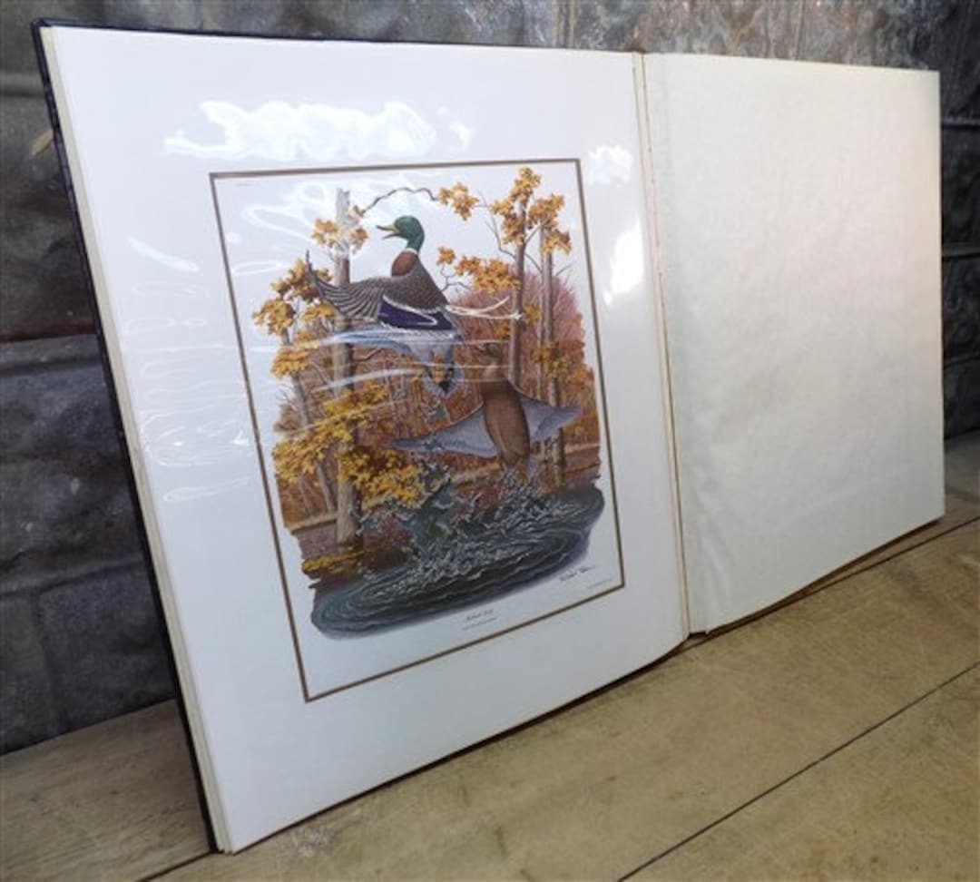 Richard Sloan Original Lithograph Folio, 25 Matted North American Bird ...