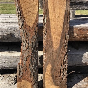4 Live Edge Raw Boards, Natural Unfinished Wood Lumber, Rustic Hardwood ...