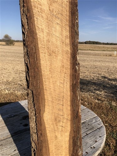 Live Edge Raw Board, Natural Unfinished Sawn Wood Lumber, Rustic ...