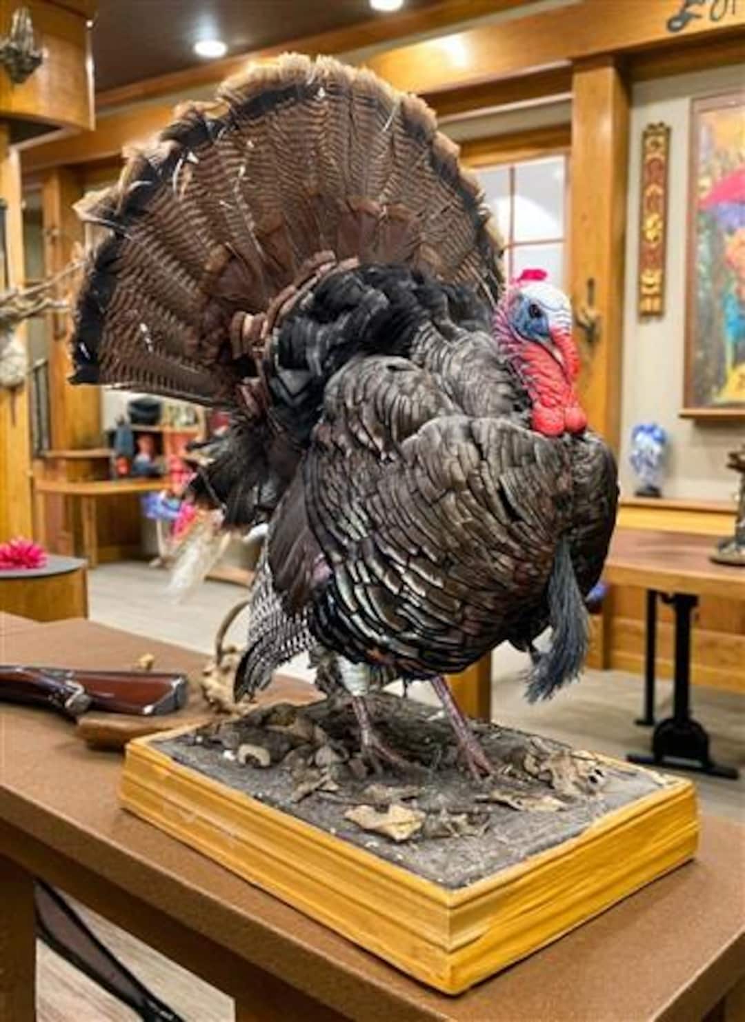 Full Body Wild Turkey Mount, Strutting Tom Turkey Taxidermy on ...