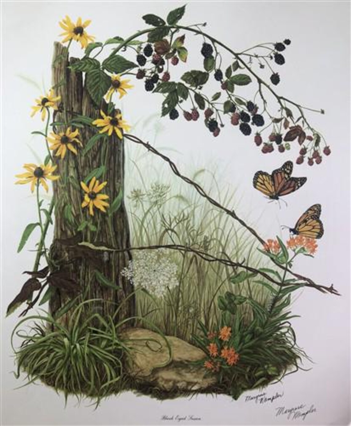 Maryrose Wampler, Black Eyed Susan, Signed Print, 28x22, Wall Art ...