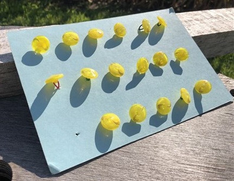 17 Lemon Yellow Lucite Moon Glow Buttons, Vintage Acrylic Buttons, Gold ...