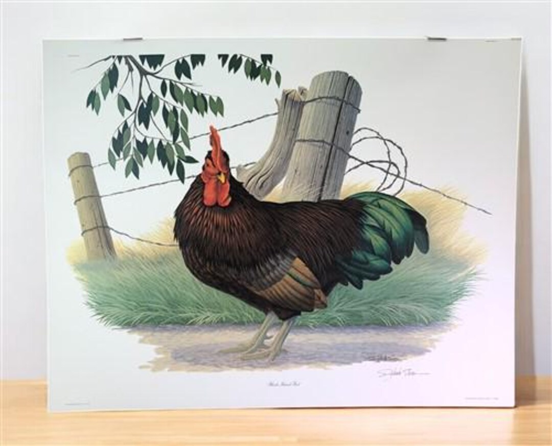 Richard Sloan, Rhode Island Red, Signed Print, 28x22, Wade Collection ...