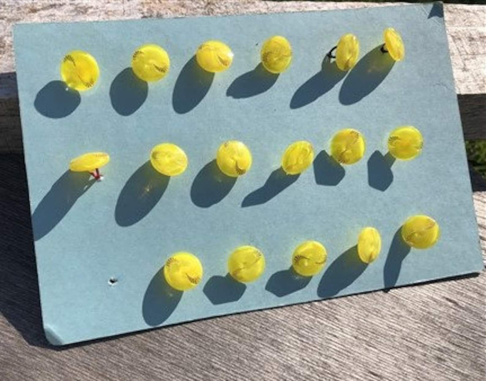 17 Lemon Yellow Lucite Moon Glow Buttons, Vintage Acrylic Buttons, Gold ...