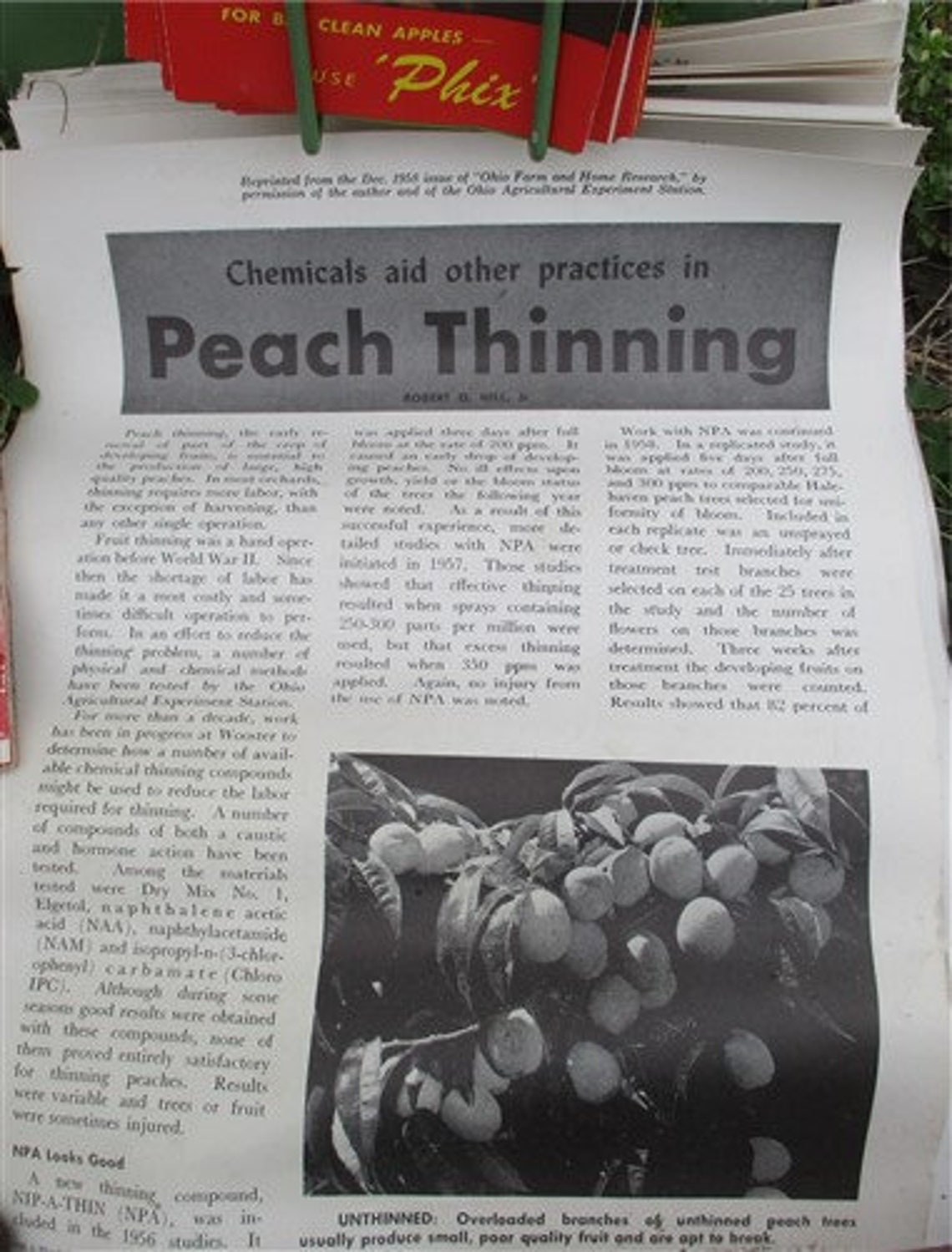 Phix Salesmans Sample Case Apple Scab Control Fungicide | Etsy