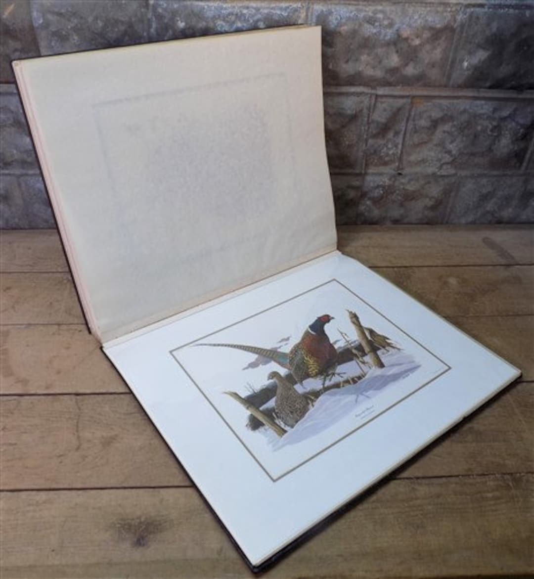 Richard Sloan Original Lithograph Folio, 23 Matted North American Bird ...
