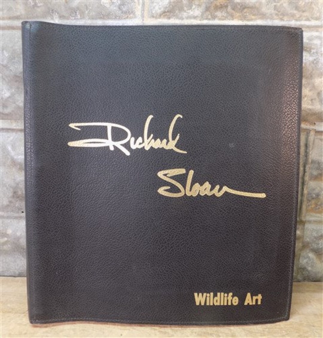 Richard Sloan Wildlife Bird Art Prints, 10 Lithograph Plates Matted 4 ...