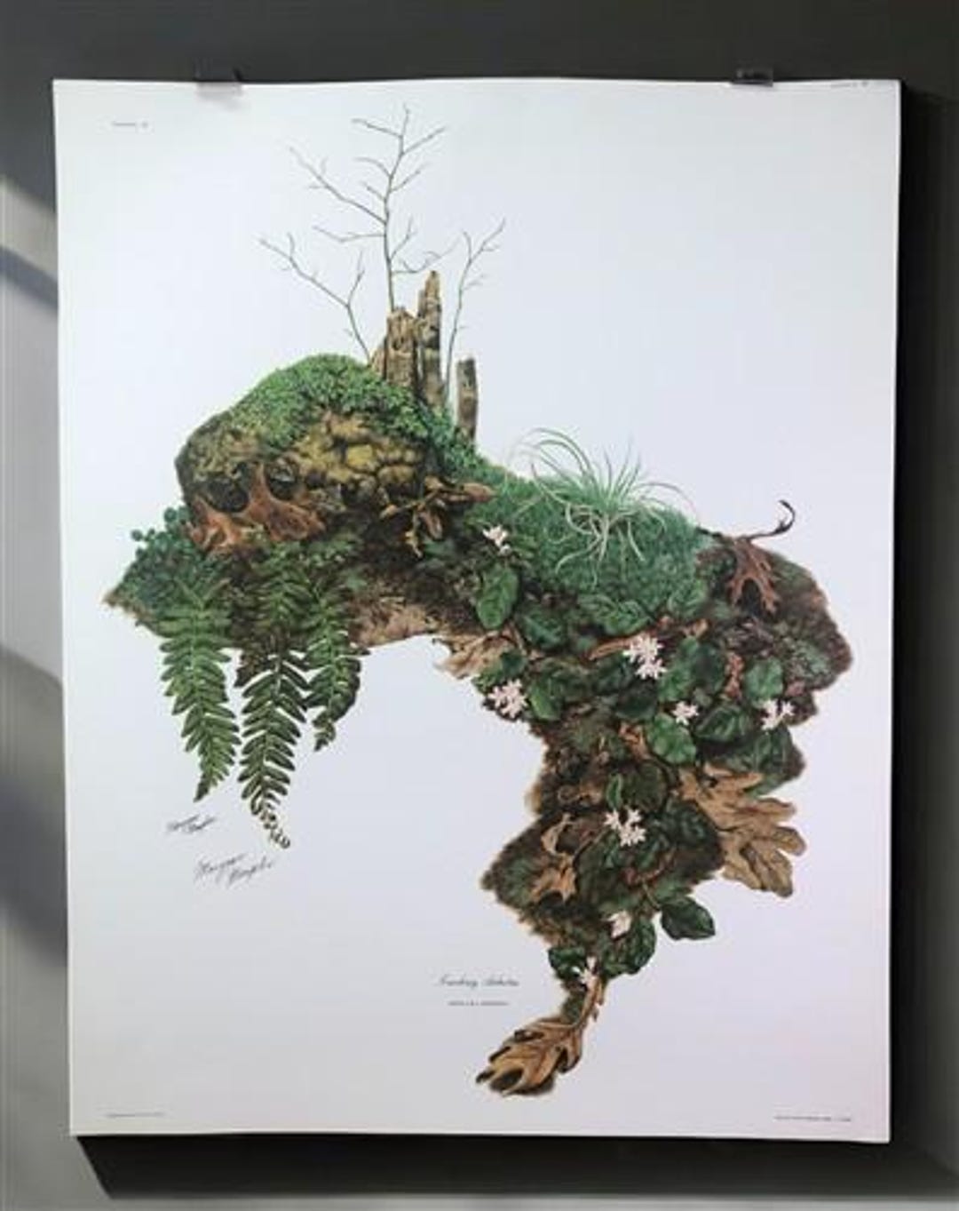 Maryrose Wampler, Trailing Arbutus, Signed Print, 28x22, Wall Art ...