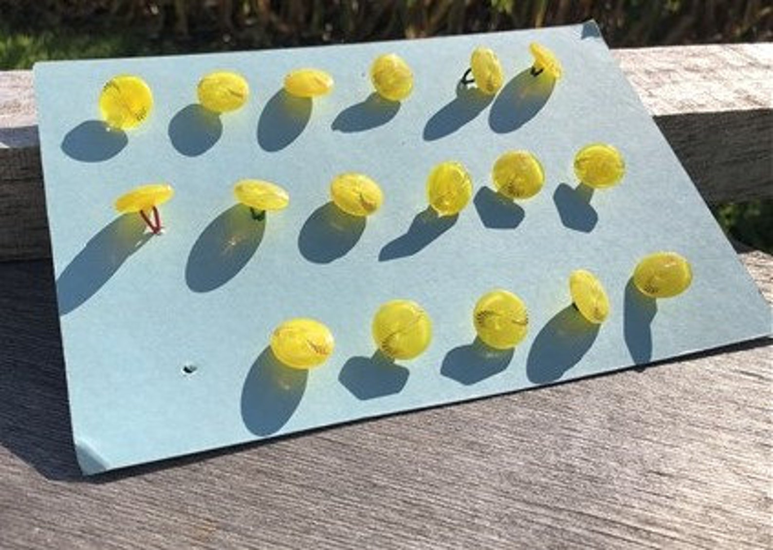 17 Lemon Yellow Lucite Moon Glow Buttons, Vintage Acrylic Buttons, Gold ...