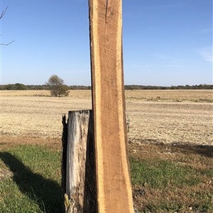 Live Edge Raw Board, Natural Unfinished Sawn Wood Lumber, Rustic ...