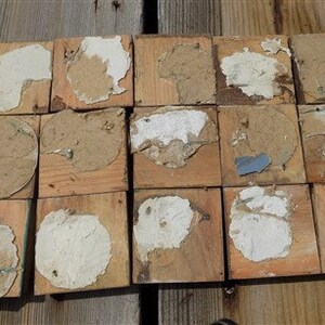 15 Mini Plinth Blocks, Bullseye Rosette, Architectural Salvage, Wood ...