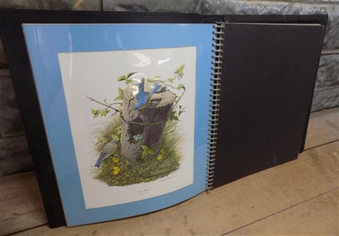 Richard Sloan Wildlife Bird Art Prints, 12 Lithograph Plates Matted 4 ...