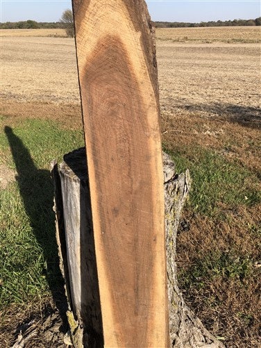 Live Edge Raw Board, Natural Unfinished Sawn Wood Lumber, Rustic ...