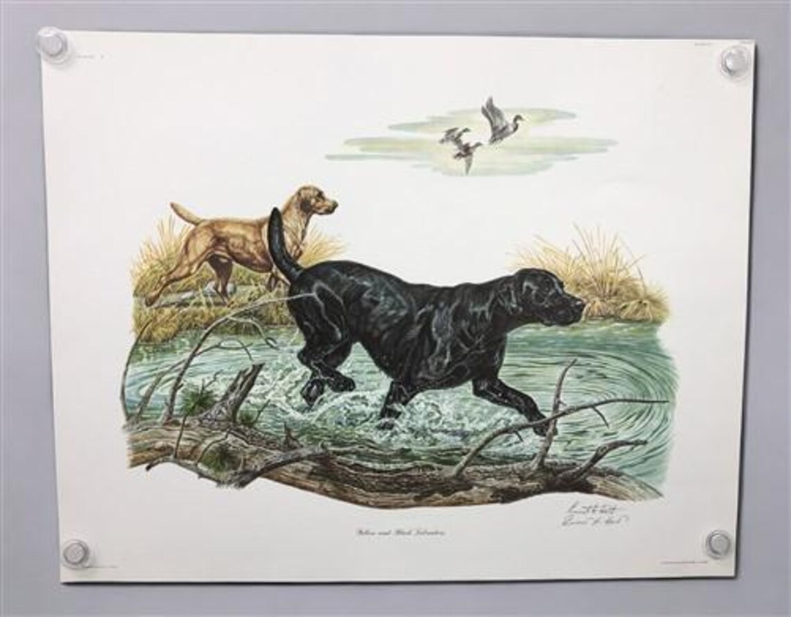 5 Ernest Hart Signed Dog Prints, 28x22 Wade Collection Lithograph ...