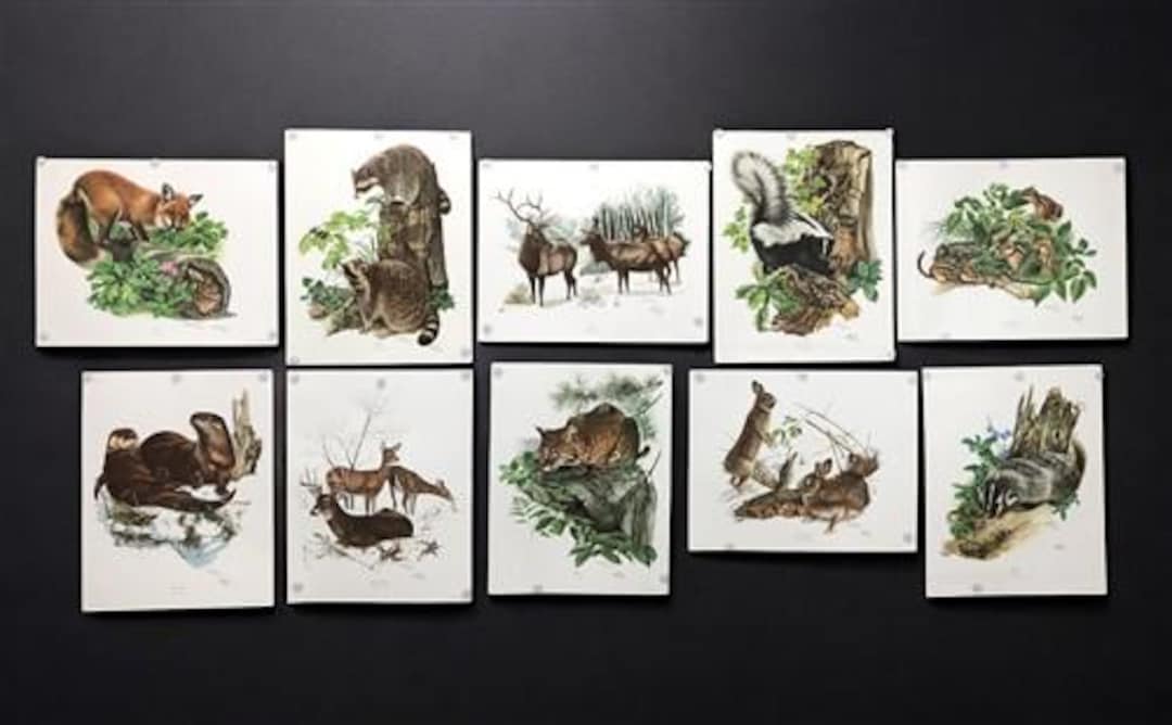 10 Richard Timm Signed Prints, 28x22 Wade Collection Lithograph Plates ...