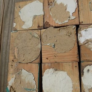 15 Mini Plinth Blocks, Bullseye Rosette, Architectural Salvage, Wood ...