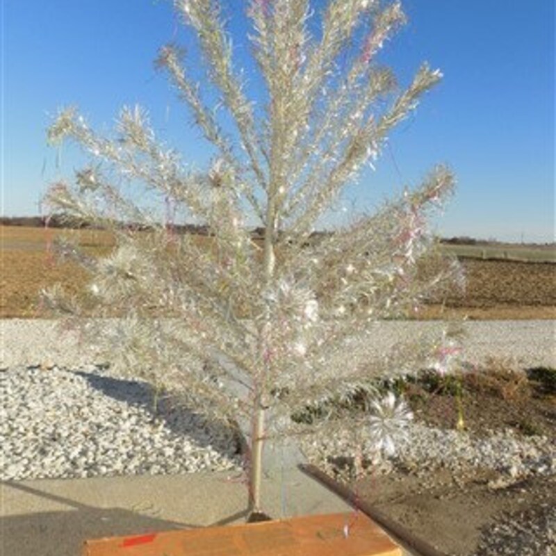 Aluminum Christmas Tree - Etsy