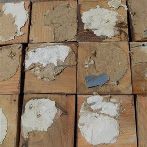 15 Mini Plinth Blocks, Bullseye Rosette, Architectural Salvage, Wood ...