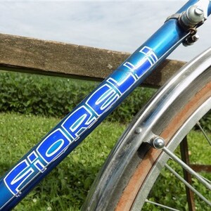 1970s Fiorelli Novi Ligure Bicycle, Serial No 56, Vintage Factory Mens ...