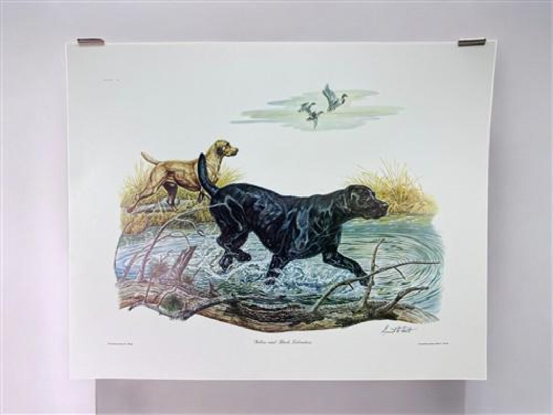 Ernest Hart, Yellow Black Labradors, Signed Dog Print, 16x20, Wade ...
