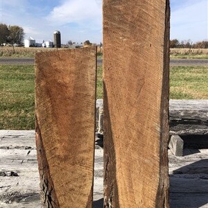 4 Live Edge Raw Boards, Natural Unfinished Wood Lumber, Rustic Hardwood ...