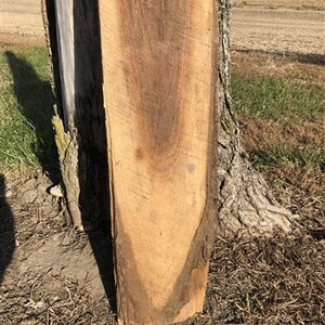 Live Edge Raw Board, Natural Unfinished Sawn Wood Lumber, Rustic ...