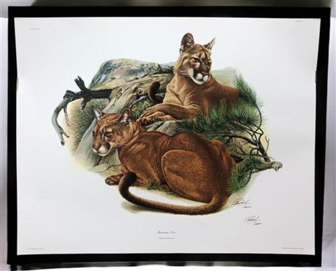 Richard Timm, Mountain Lion, Signed Print, 28x22 Wade Collection, Plate ...