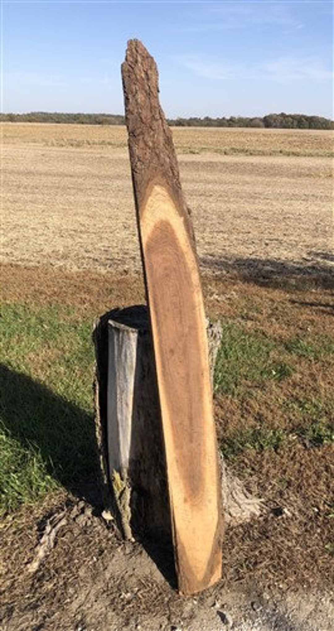 Live Edge Raw Board, Natural Unfinished Sawn Wood Lumber, Rustic ...