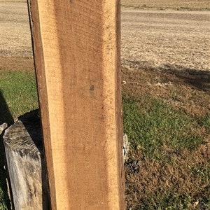 Live Edge Raw Board, Natural Unfinished Sawn Wood Lumber, Rustic ...