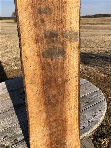 Live Edge Raw Board, Natural Unfinished Sawn Wood Lumber, Rustic ...