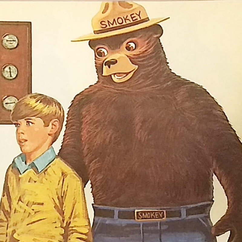 Smokey Bear Poster - Etsy
